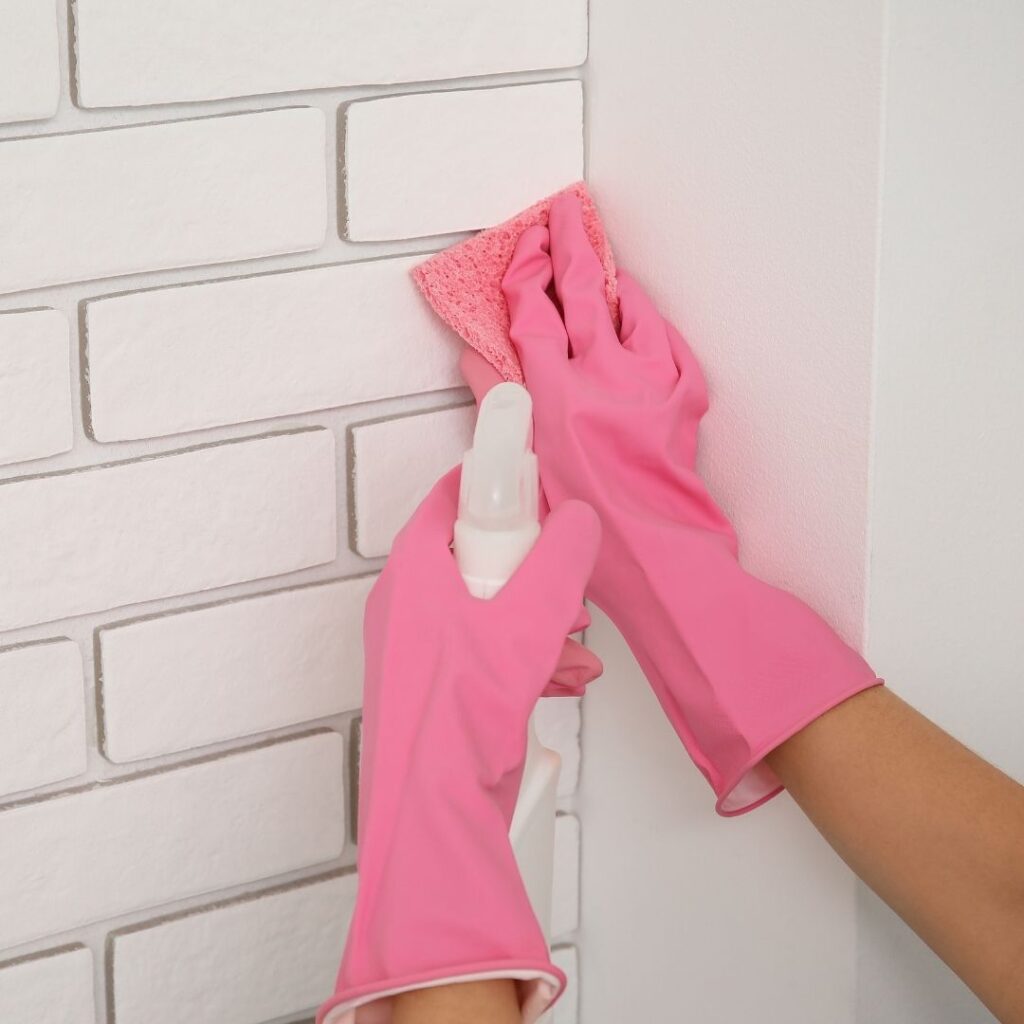 Why Bleach Does Not Solve Mold Problems - Even When It “Kills” the Mold ...